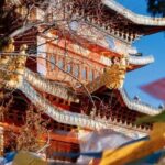 Shangri-La Day Tour Songzanlin Monastery and Napa Sea - Exploring the Itinerary in Detail