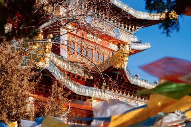 Shangri-La Day Tour Songzanlin Monastery and Napa Sea - Exploring the Itinerary in Detail