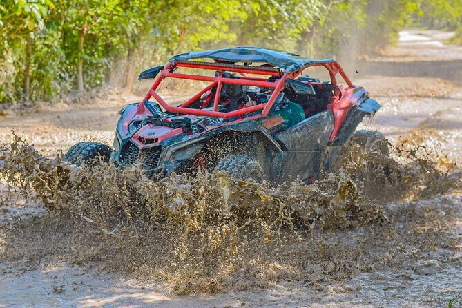 Shared Buggy Tour in Punta Cana - Who Should Consider This Tour?