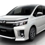 Shared Falmouth Hotel Shuttles To or From Montego Bay Airport - What to Expect from the Experience