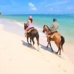 Shared horseback riding Punta Cana Beach - Who Will Love This Experience?