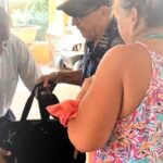 Shared or Private St Kitts Airport Roundtrip Transfer - The Itinerary Breakdown