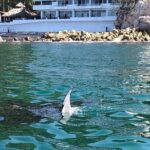 Shared Puerto Vallarta City Tour By The Sea aboard Bruna - Practical Details & Tips