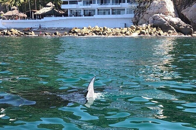 Shared Puerto Vallarta City Tour By The Sea aboard Bruna - Practical Details & Tips