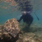 Shared Scuba Diving Trip in Kushimoto - In-Depth Look at the Kushimoto Scuba Experience