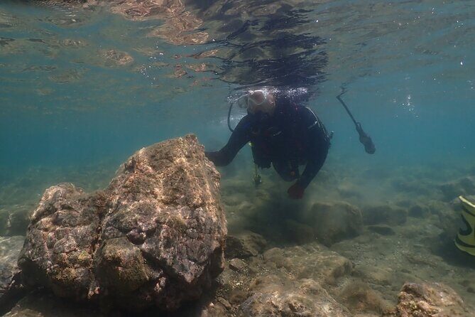 Shared Scuba Diving Trip in Kushimoto - In-Depth Look at the Kushimoto Scuba Experience