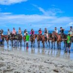 Shared Tour in Ocho Rios with Horseback Riding and Swimming - The Itinerary in Detail