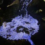 Sharing Ijen Trip; Starts from Bali - FAQs