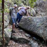 Shark Bay ( Batcave) National Park Hiking Tour - Authentic Experiences and Tips from Reviewers