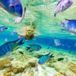 Sharks & Stingrays Encounter and Small Boat Ride from Punta Cana - Pricing and Value