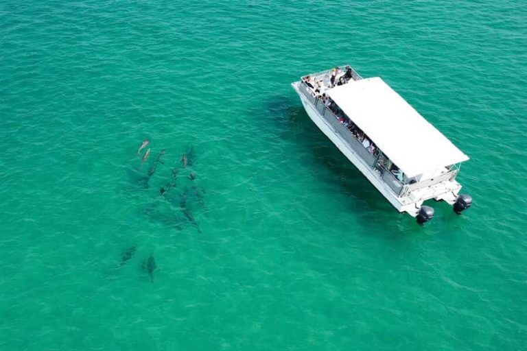 Shell Island Nature & Marine Viewing Tour - Pricing and Value