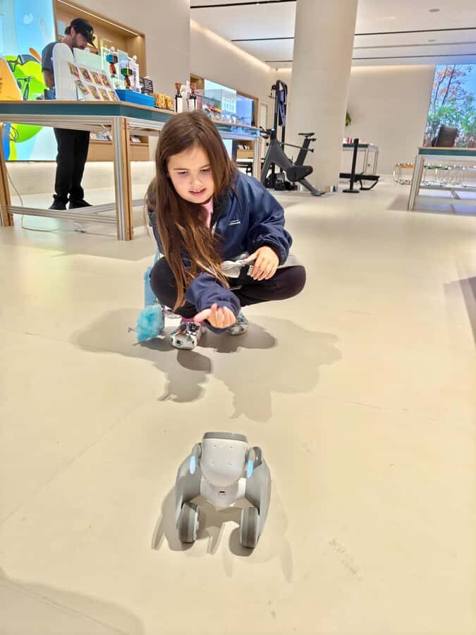 Shenzhen: AI and Robotics Experience Tour - A Detailed Breakdown of the Itinerary