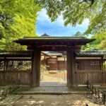 Shibuya: E-Bike Tour of Tokyo's Most Expensive Neighborhood - Itinerary Breakdown: A Step-by-Step Journey