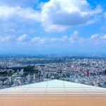 Shibuya Highlights Hachiko Scramble Meiji Jingu and Sky - Frequently Asked Questions