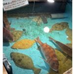 Shibuya Shopping and Izakaya Tour - The Sum Up