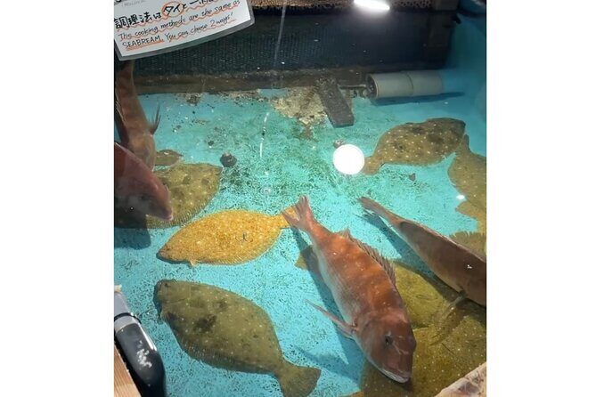 Shibuya Shopping and Izakaya Tour - The Sum Up