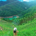 Shiding Tea Township Half-Day Tour from Taipei - Detailed Breakdown of the Itinerary