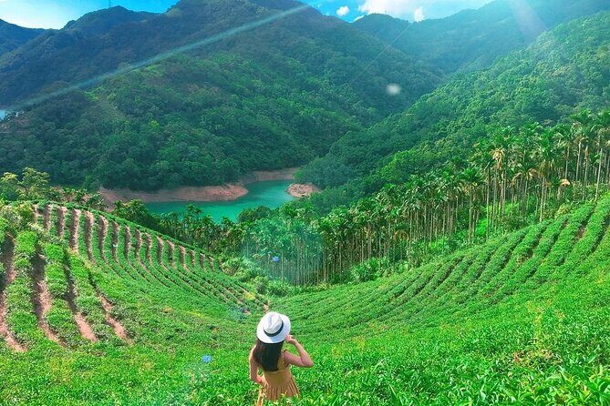 Shiding Tea Township Half-Day Tour from Taipei - Detailed Breakdown of the Itinerary