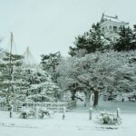 Shiga 1Day Bus Tour with Snow, Castle and Illumination from Kyoto - Who Should Consider This Tour?