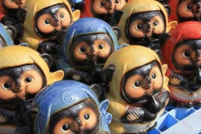 Shiga 1Day Private Tour from Kyoto - Who Should Consider This Tour?