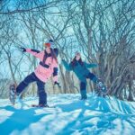 Shiga Biwako Valley Winter Ski Day Tour from Osaka - The Ski Resort: For All Levels and Family Fun