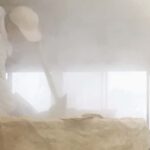 Shiga: Kitajima Sake Brewery Tour with Tasting - A Closer Look at the Kitajima Sake Brewery Tour