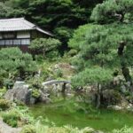 Shiga Seasonal Delights Day Trip into Nature and Harmony - Practical Details and Tips