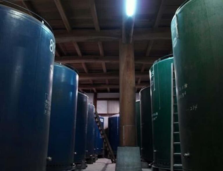 Shiga:Fujii Honke Sake Brewery Tour & Tasting Optional Meals - Who Should Consider This Tour?