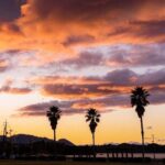 Shimanami Kaido Private Cycling ~3-hours course from Onomichi~ - In-Depth Look at the Experience