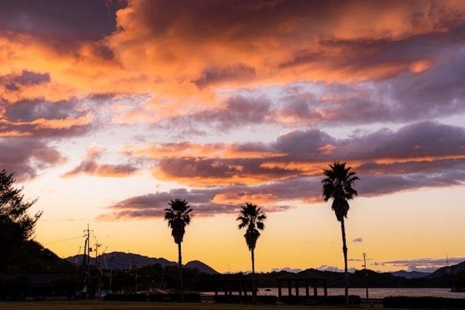 Shimanami Kaido Private Cycling ~3-hours course from Onomichi~ - In-Depth Look at the Experience