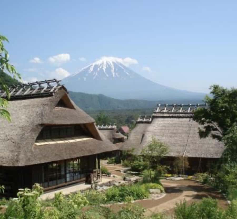 Shimizu: Mount Fuji Private Tour with Custom Itinerary - Value and Practical Considerations