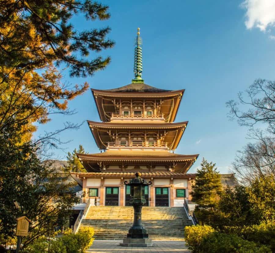 Shimizu: Nagano Private Full-Day Tour with Guide - The Practicalities: Transportation, Timing, and Comfort