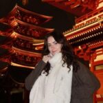 Shimizu: Tokyo Private Day Trip with Guide - Why Choose a Private Tour?