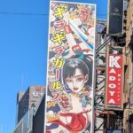 Shinjuku: Samurai Revue Show with 2 drinks & Dinner at Izakaya - A Practical Breakdown of the Experience