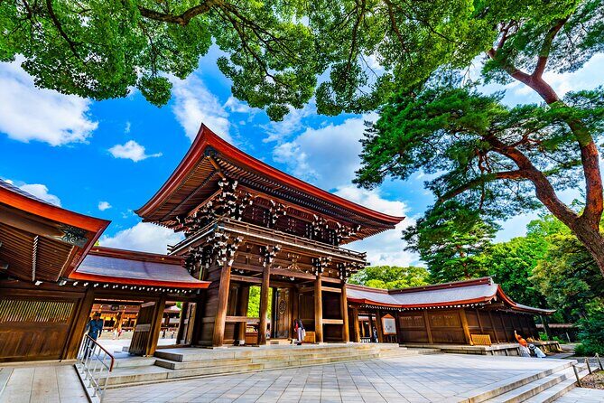 Shinto Shrine Tour: Explore Japanese Culture in Tokyo - The Itinerary: What to Expect at Each Shrine