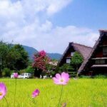 Shirakawa-go, Hida Takayama Day and Old Town Tour from Nagoya - Transportation and Timing