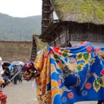 Shirakawa-go Private Car City Tour - Who is This Tour Best For?