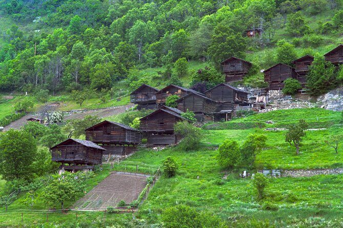 Shirakawago & Kanazawa from Osaka by bullet train - Who Should Consider This Tour
