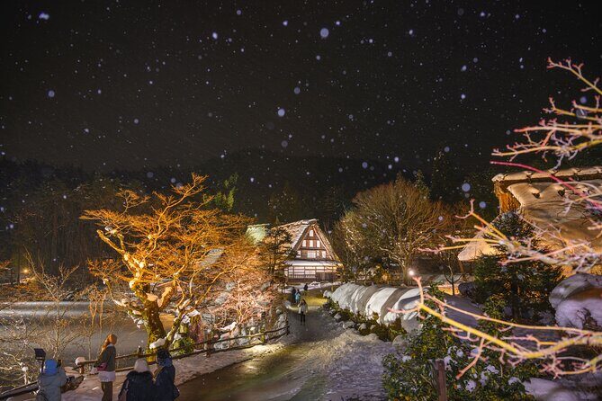 Shirakawago Stay!Hida Light Up, Snow Play 2Days Tour from Nagoya - Final Thoughts: Who Is This Tour For?