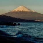 Shizuoka: 10-hour Private Tour & Japanese Tea - Who Should Consider This Tour?