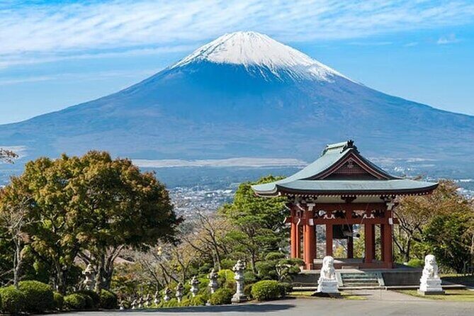 Shizuoka Private Vehicle Service with Restaurant Reservation - A Closer Look at the Itinerary and Experience