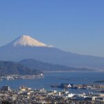 Shizuoka: Shimizu Port Food & Bar Hopping Tour - The Value of This Experience