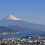 Shizuoka: Shimizu Port Food & Bar Hopping Tour - Who Should Consider This Tour?