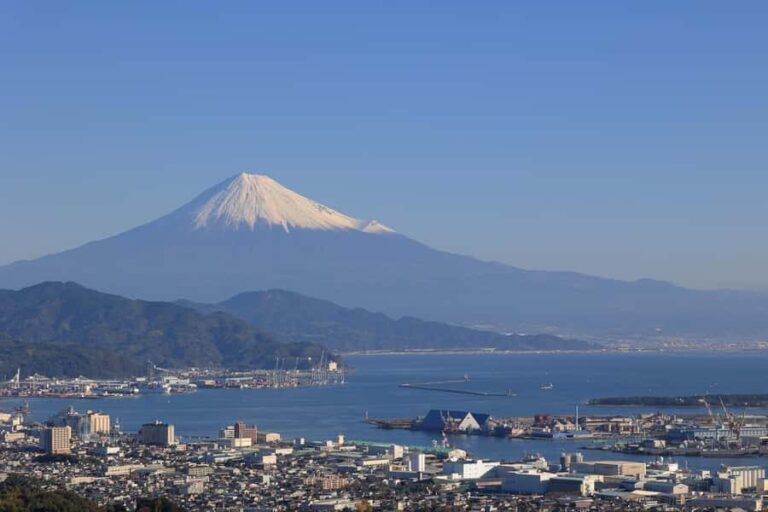 Shizuoka: Shimizu Port Food & Bar Hopping Tour - Who Should Consider This Tour?