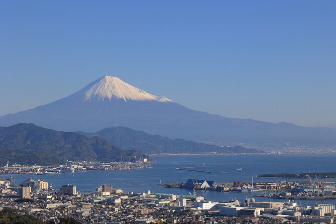 Shizuoka: Shimizu Port Food & Bar Hopping Tour - The Value of This Experience