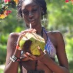 Shopping, Bluehole, Secret Falls and Dunns River from Montego Bay - Practical Aspects: What to Expect
