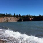 Shore and Hopewell Rocks Guided Tour - Price and Value Analysis