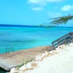 Shore Dive Aruba for Certified Divers - Detailed Breakdown of the Experience