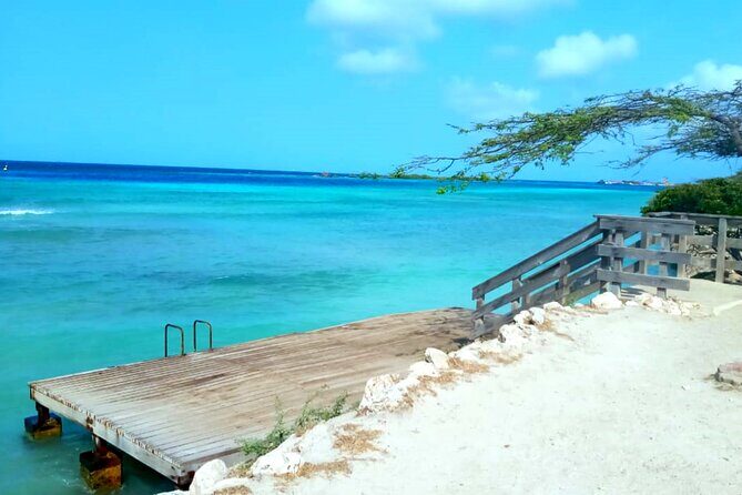 Shore Dive Aruba for Certified Divers - Detailed Breakdown of the Experience