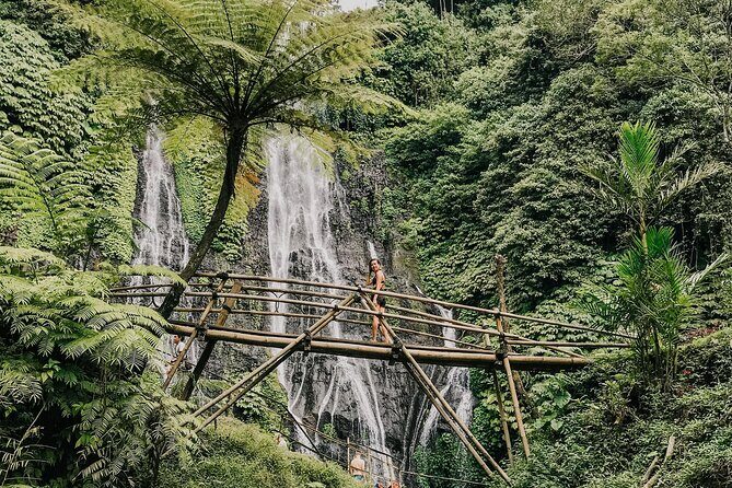 Shore Excursion Cruise Ship From Celukan Bawang Port - The Practicalities: What to Expect